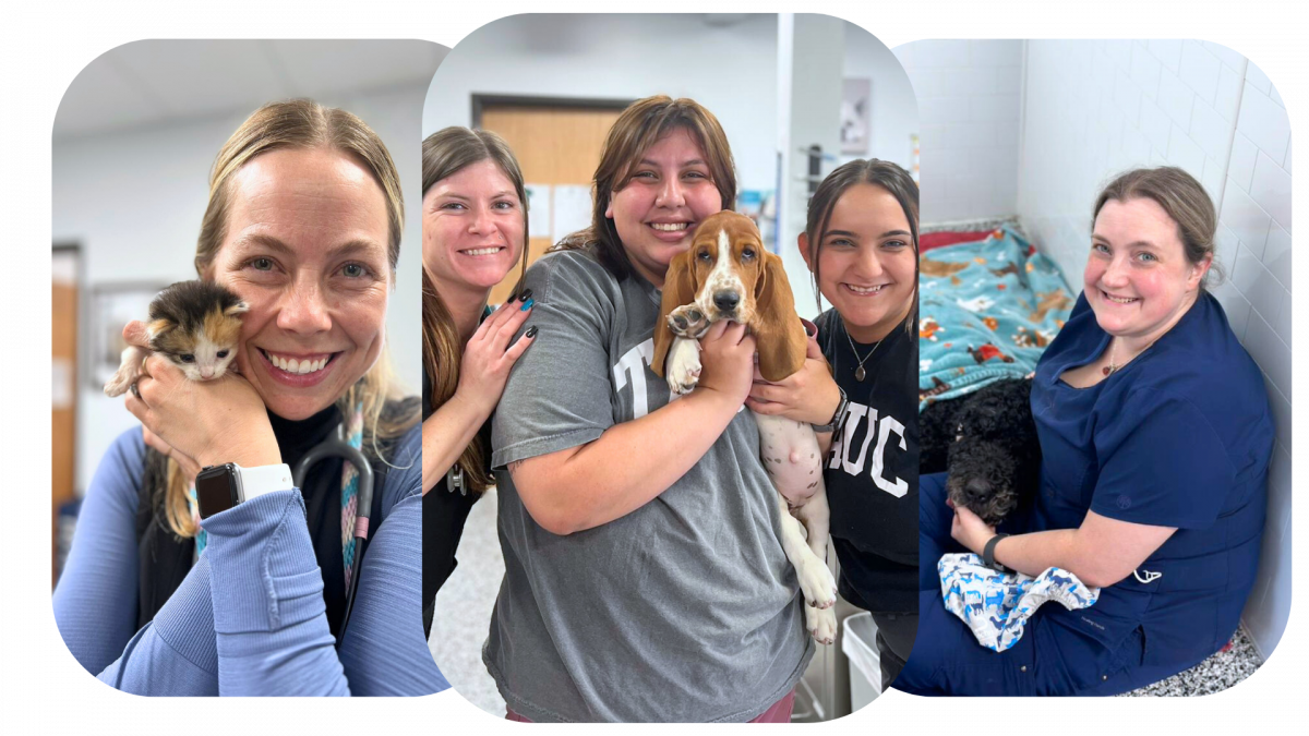 Tulsa Animal Urgent Care | Same Day Emergency and Urgent Care for Pets